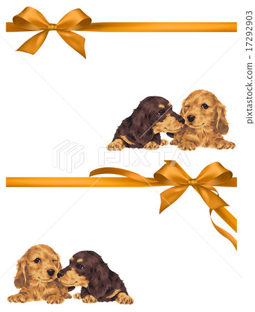 Cute dog and ribbon - Stock Illustration [17292903] - PIXTA