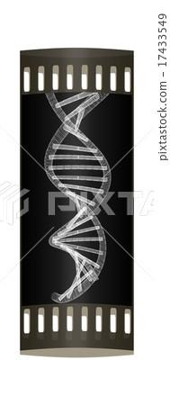 DNA structure model. The film strip - Stock Illustration [17433549] - PIXTA