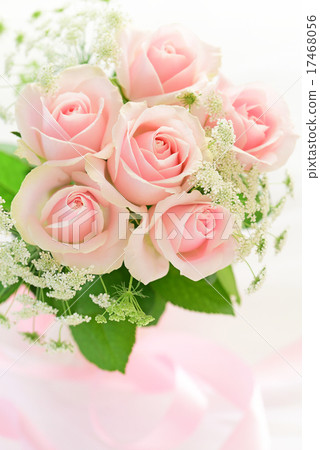 Pale pink rose arrangement - Stock Photo [17468056] - PIXTA