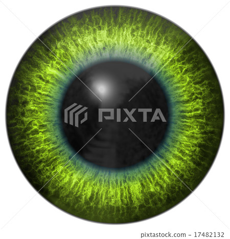 Eye iris generated hires texture - Stock Illustration [17482132] - PIXTA
