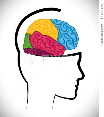 Human brain design. - Stock Illustration [17582529] - PIXTA