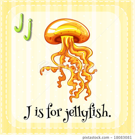 Flashcard letter J is for jellyfish - Stock Illustration [18083081] - PIXTA