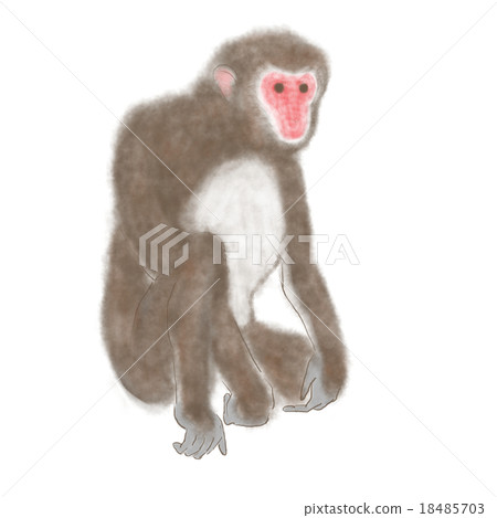 A monkey aiming at something - Stock Illustration [18485703] - PIXTA