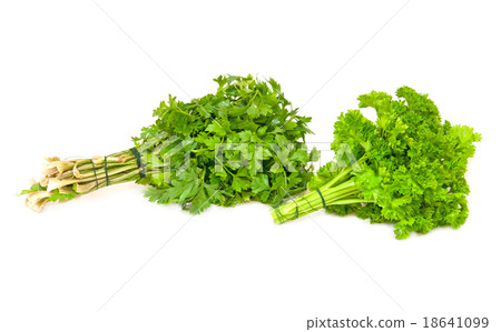 parsley图片-千图网