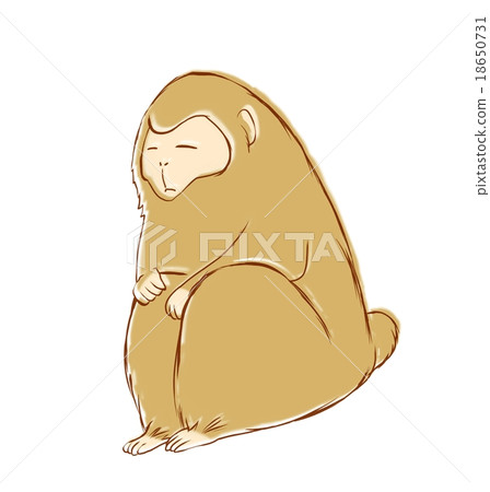 Japanese ape - Stock Illustration [18650731] - PIXTA