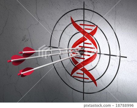 Science concept: arrows in DNA target on wall - Stock Illustration ...