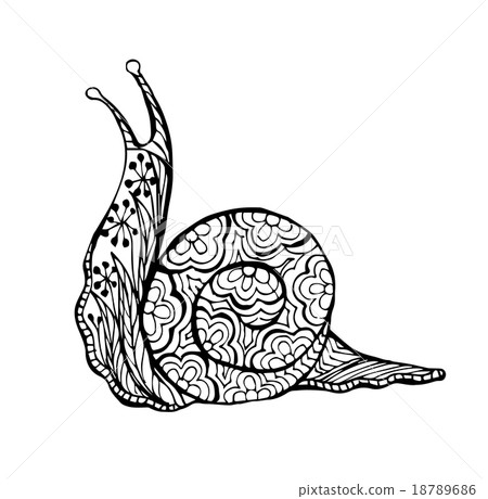 Vector of snail in zentangle style - Stock Illustration [18789686] - PIXTA