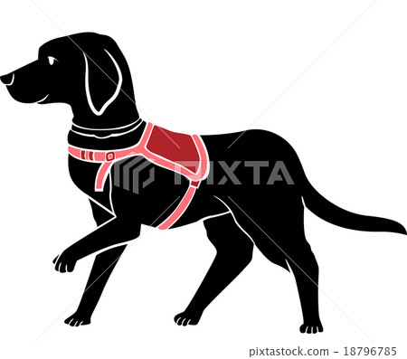 Guide Dog Stencil - Stock Illustration [18796785] - PIXTA