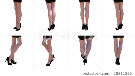 Ideal women's leg body parts parts variety pack... - Stock Illustration ...