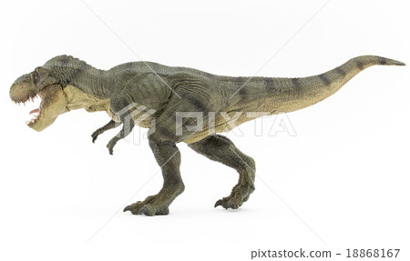 The whole body of Tyrannosaurus - Stock Photo [18868167] - PIXTA