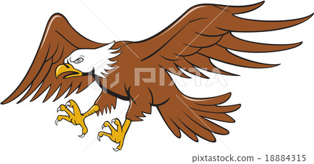 American Bald Eagle Swooping Cartoon - Stock Illustration [18884315 ...