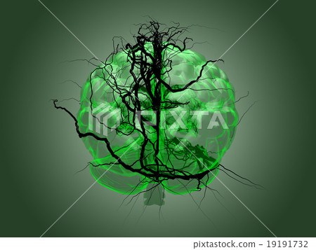Brain root concept of a root growing - Stock Illustration [19191732 ...