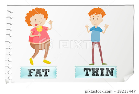 Opposite adjectives fat and thin - Stock Illustration [19215447] - PIXTA