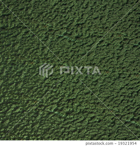lit organic green mud texture - Stock Illustration [19321954] - PIXTA