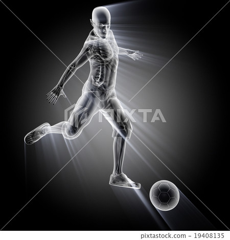 soccer player bones radiography - Stock Illustration [19408135] - PIXTA