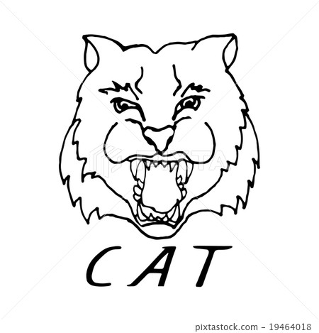 hand draw head screaming cat-插圖素材 [19464018] - PIXTA圖庫