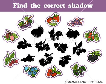 Find the correct shadow (berry and fruits) - Stock Illustration ...