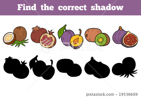 Find the correct shadow (fruits) - Stock Illustration [19536689] - PIXTA