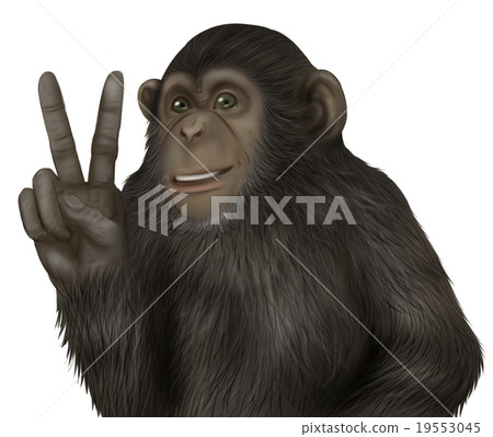 Realistic chimpanzee illustration (Peace Sign) - Stock Illustration ...