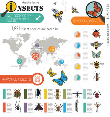 Insects infographic template - Stock Illustration [19607118] - PIXTA