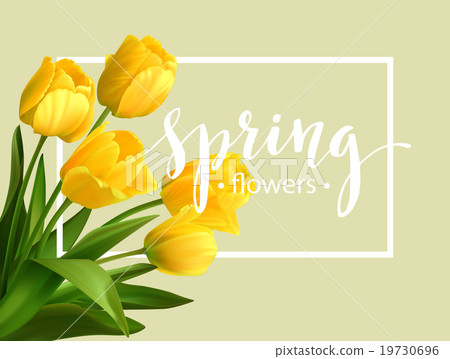 Spring text with tulip flower. Vector - Stock Illustration [19730696 ...