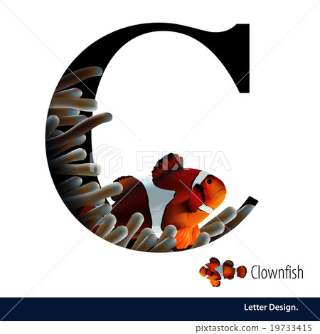 Vector Letter C for Clownfish withe coral alphabet - Stock Illustration ...