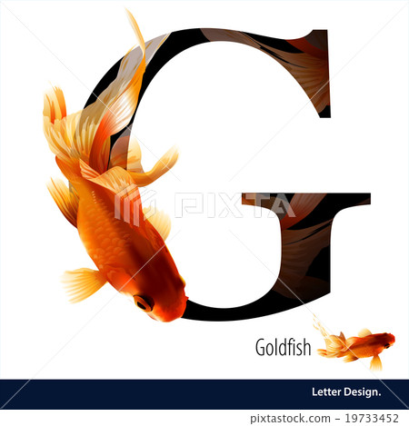 Vector of Letter G for Goldfish alphabet. - Stock Illustration ...
