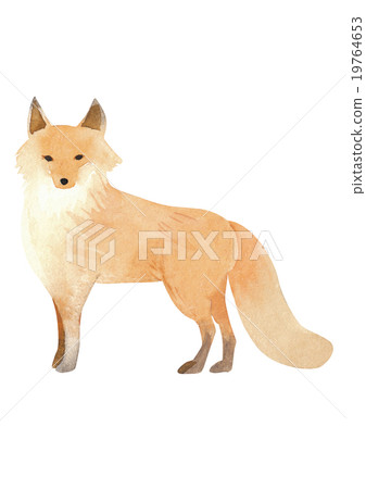 Hokkaido animal series Kita fox - Stock Illustration [19764653] - PIXTA