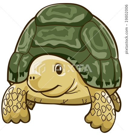 Illustration of land turtles - Stock Illustration [19802006] - PIXTA