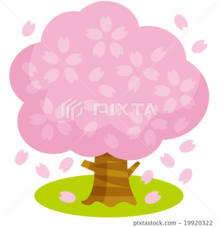 Cherry tree B - Stock Illustration [19920322] - PIXTA