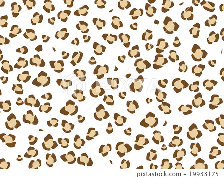 Leopard pattern white - Stock Illustration [19933175] - PIXTA