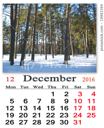 calendar December 2016 with pines in winter forest-插圖素材 [19981564 ...
