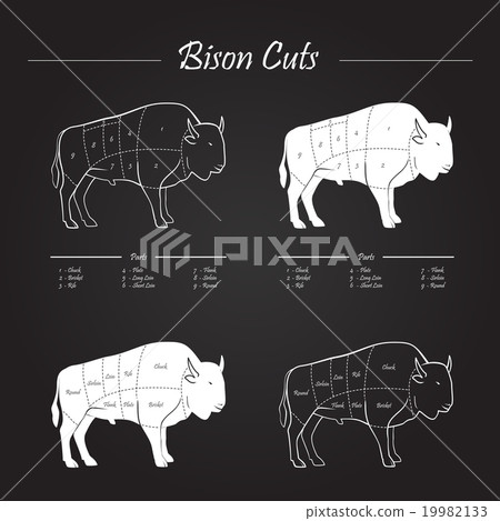 BISON MEAT CUTS SCHEME - elements on blackboard - Stock Illustration ...