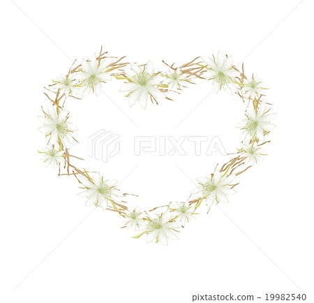White Equiphyllum Flowers in Heart Shape Frame - Stock Illustration ...