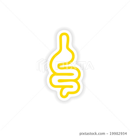 paper sticker on white background human intestine - Stock Illustration ...