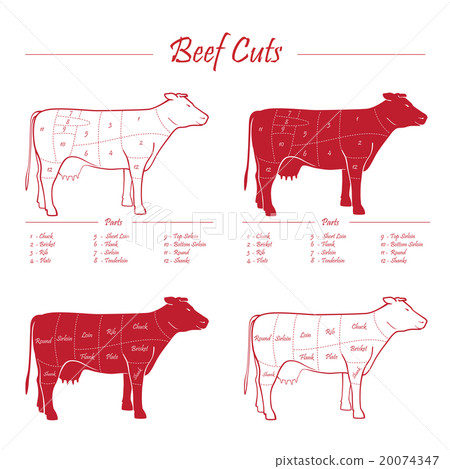 Cow beef meat cuts scheme red on white - Stock Illustration [20074347 ...