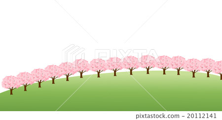 Sakura spring flower background - Stock Illustration [20112141] - PIXTA