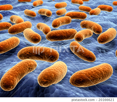 Pathogen bacteria on the surface - Stock Illustration [20166621] - PIXTA