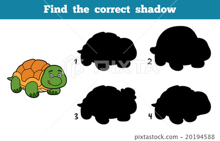Find the correct shadow (turtle)-插圖素材 [20194588] - PIXTA圖庫