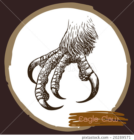illustration of eagle claw, hawk bird - Stock Illustration [20289571 ...