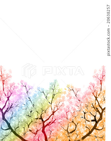 Sakura spring flower background - Stock Illustration [20638257] - PIXTA