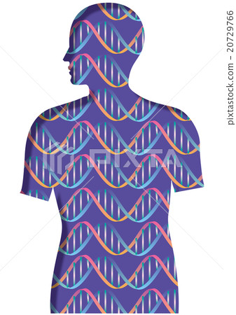Double spiral structure pattern in human body... - Stock Illustration ...