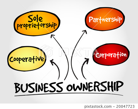 Business ownership mind map - Stock Illustration [20847723] - PIXTA