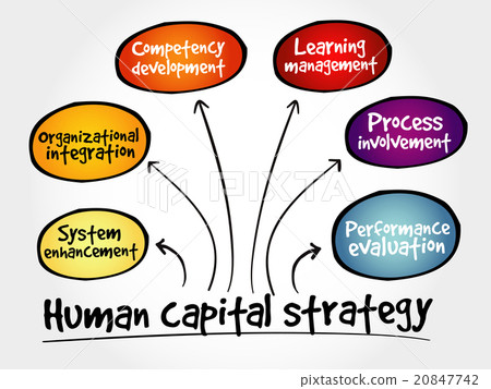 Human capital strategy mind map - Stock Illustration [20847742] - PIXTA