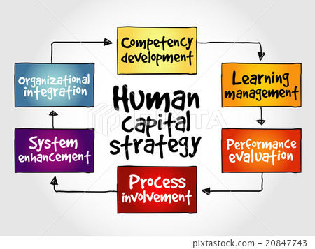 Human capital strategy mind map - Stock Illustration [20847743] - PIXTA