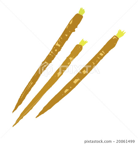 Burdock root - Stock Illustration [20861499] - PIXTA
