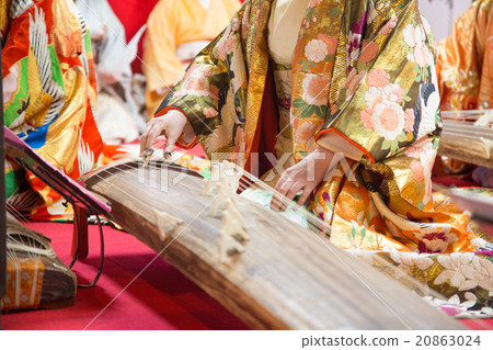 Koto performance - Stock Photo [20863024] - PIXTA