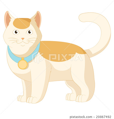 Cartoon white and orange cat-插圖素材 [20867492] - PIXTA圖庫