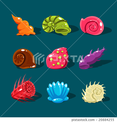 Vector Collection of Colorful Shells - Stock Illustration [20884255 ...