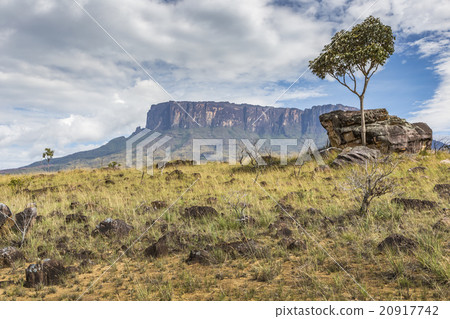 Tablemountain Roraima with clouds, Venezuela, - Stock Photo [20917742 ...